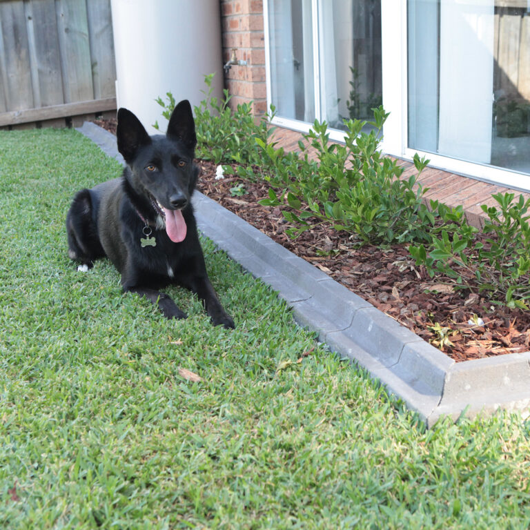 Lawn Edge Pavers | Garden Edging Pavers Adelaide