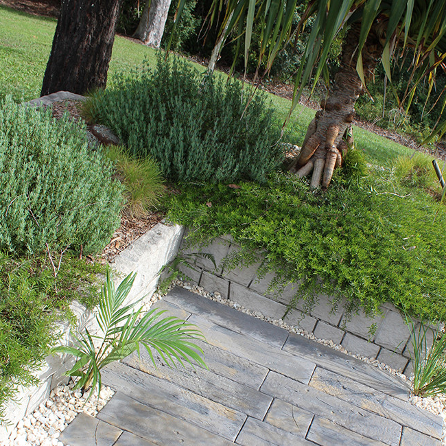 Timber Stone Pavers | Wood Finish Pavers with Durability of Stone