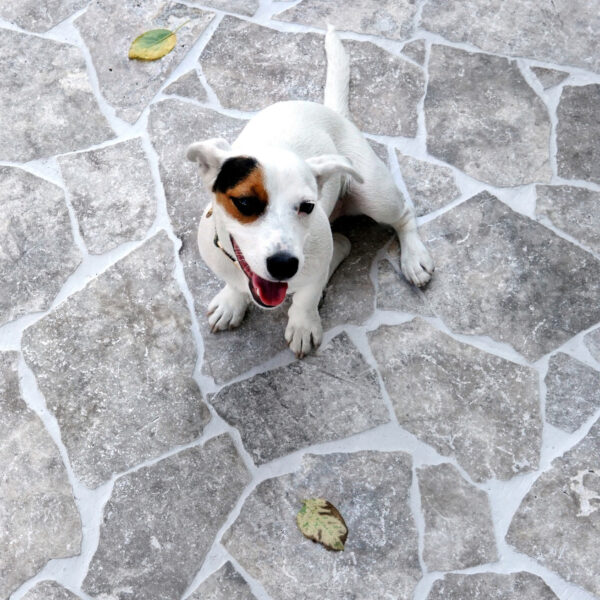 Crazy Paving & Cladding - Australian Paving Centre Lonsdale – Hallett Cove